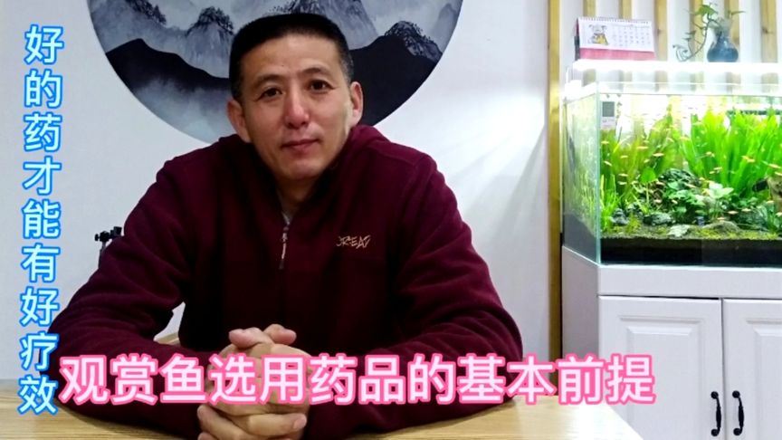 观赏鱼药选用五个基本前提四个原则