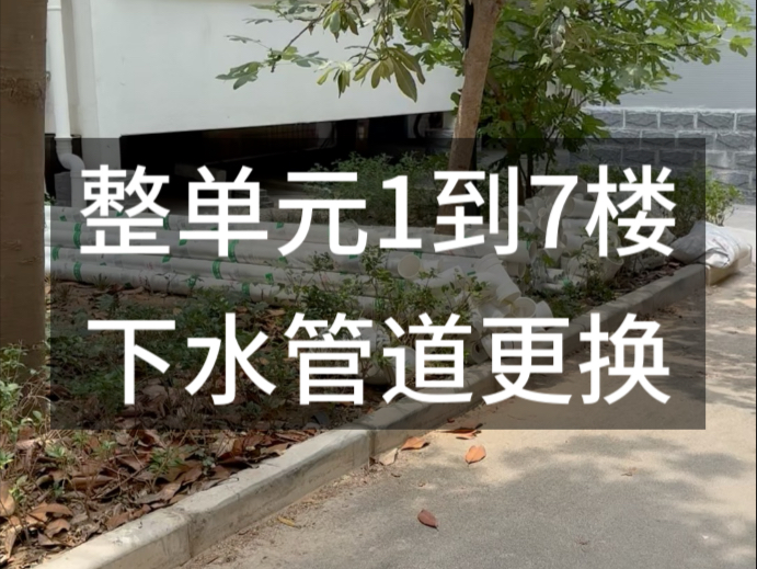 ...黄河路经四路整个单元统一改卫生间厨房下水管道。#旧房改造 #卫生...