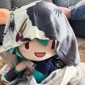 不解散花 