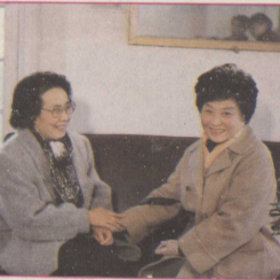 CY河猫 