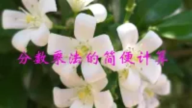 人教版六年级数学上册 1.4分数乘法的简便计算