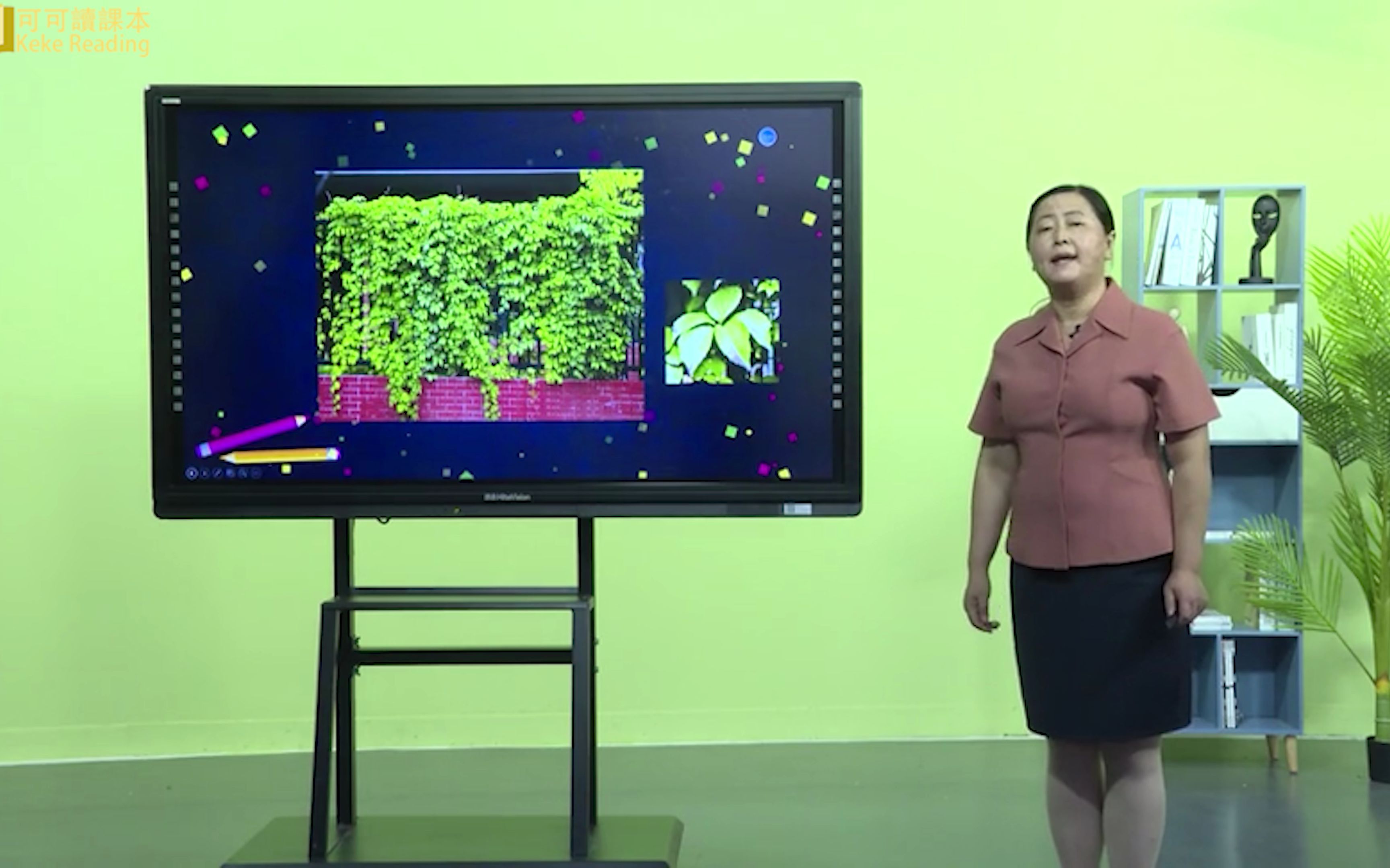 我们知道的植物 教科版 小学科学一年级上册