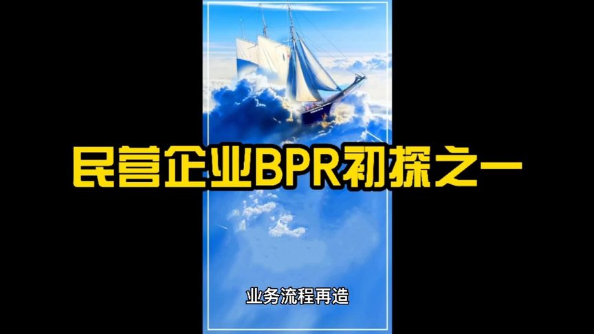 民营企业BPR初探之一