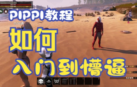 PIPP教程动态跑商与全局变量