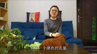 旧衣服利用:3个步骤自制温暖狗窝,狗狗非常喜欢