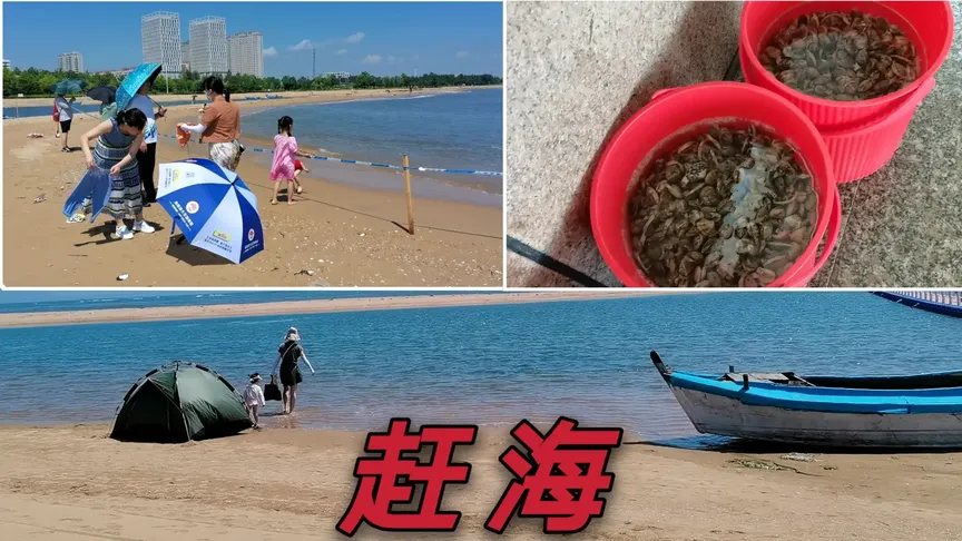 您知道威海荣成哪里最适合赶海吗?咋收费?海货多吗?几点退潮?
