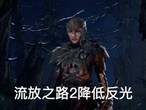 流放之路2显示修改降低反光(白光?锐化?)