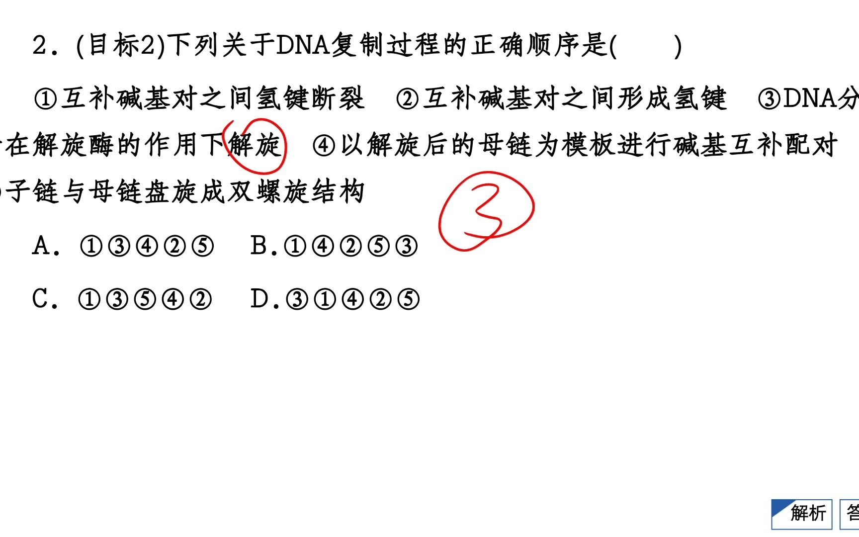 DNA复制的大致过程