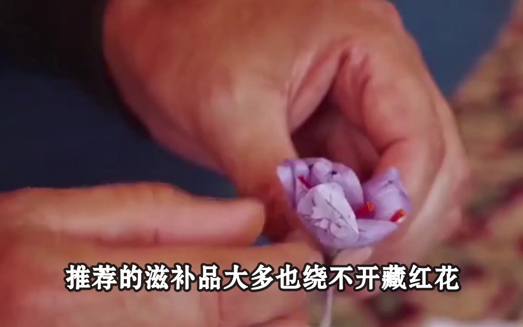 藏红花对人体有哪些好处,藏红花的作用是什么