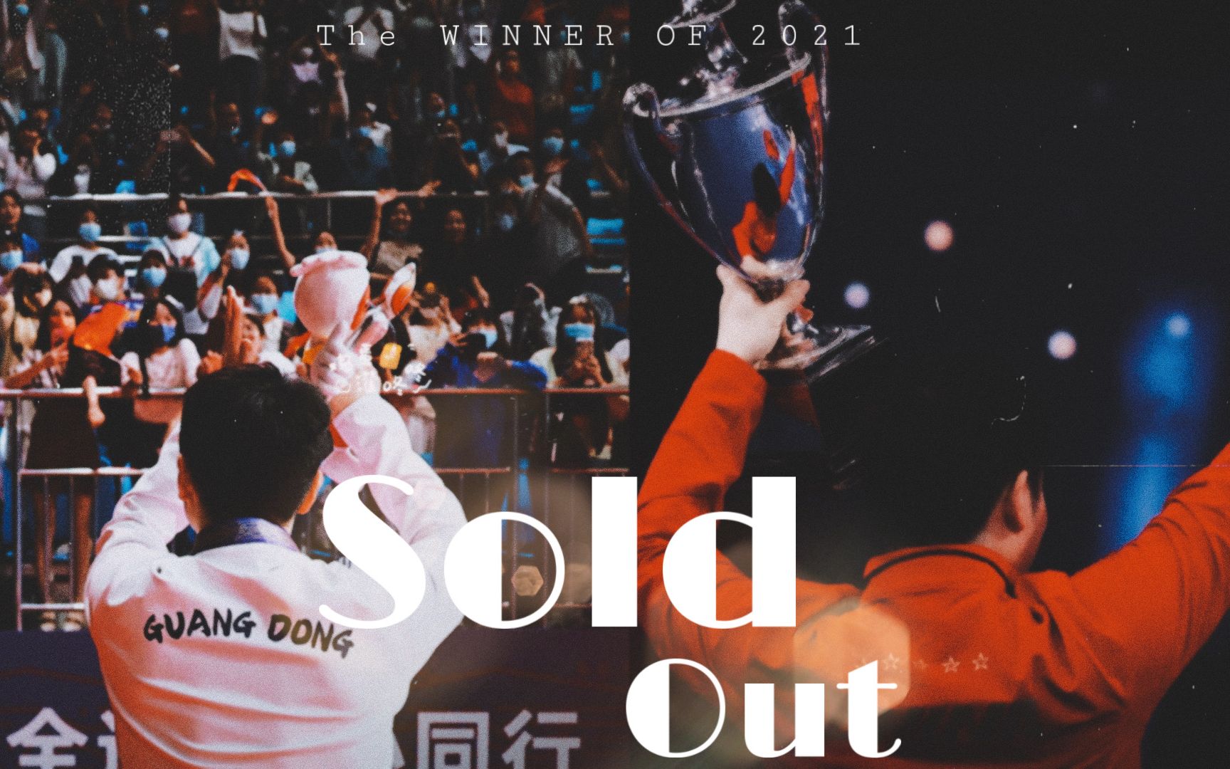 【樊振东】2021全运丨世乒赛丨世界杯夺冠燃向混剪丨Sold out