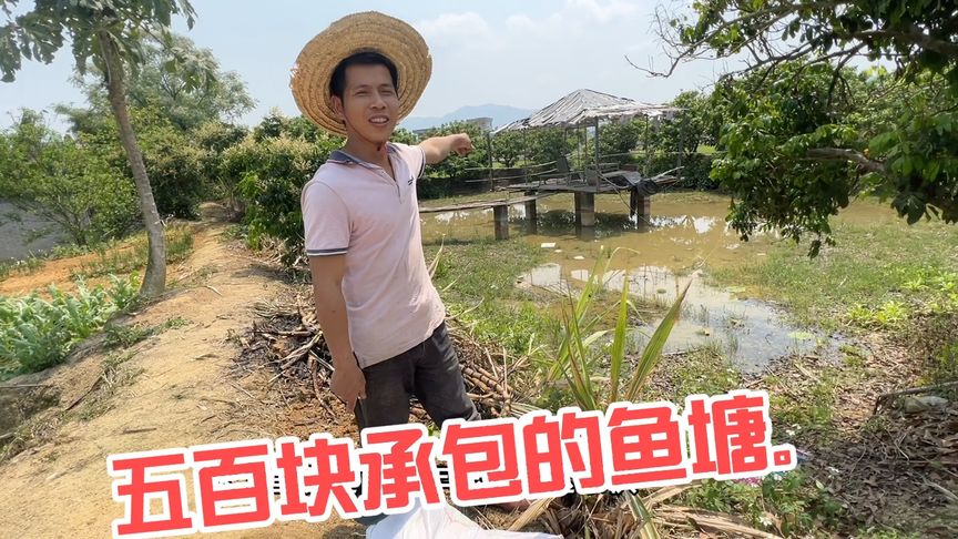 广西大叔花500块一年承包的鱼塘,准备下鱼了用石灰消毒能行吗