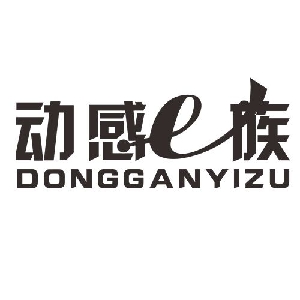动感e族旗舰店 