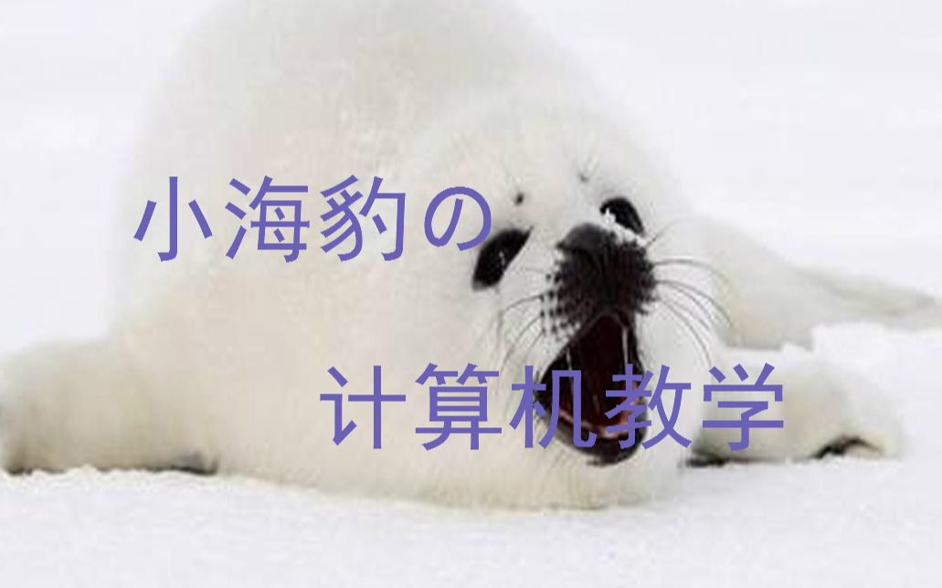 高中物理公式难背?高中生教你用编程实现1秒解题,秒画函数图表