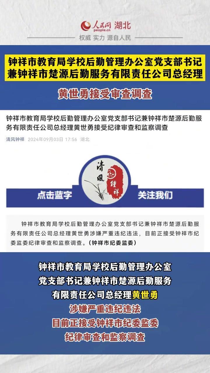钟祥市教育局学校后勤管理办公室党支部书记,兼钟祥市楚源后勤服务...