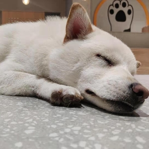 烟霞散去归人海 