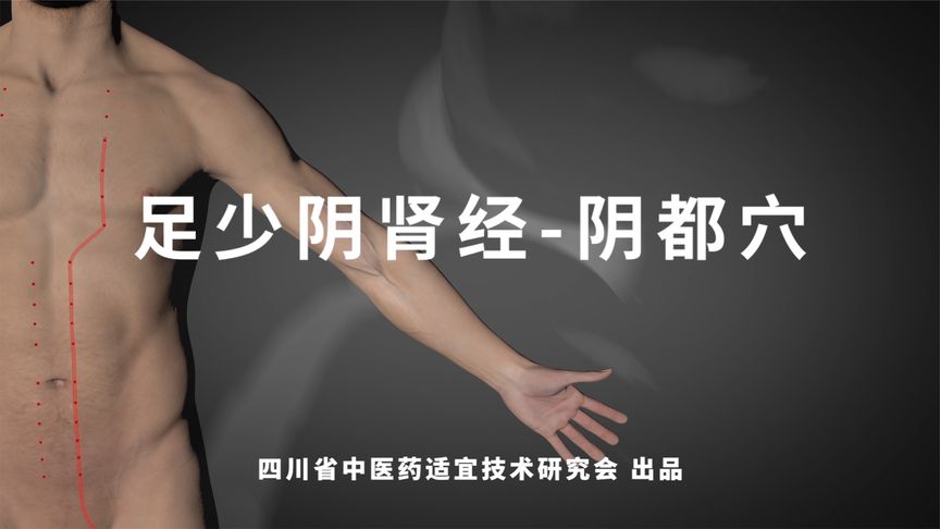 398个穴位,你都知道吗?足少阴肾经-阴都穴
