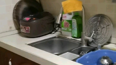 厨房有蟑螂是什么原因引起的