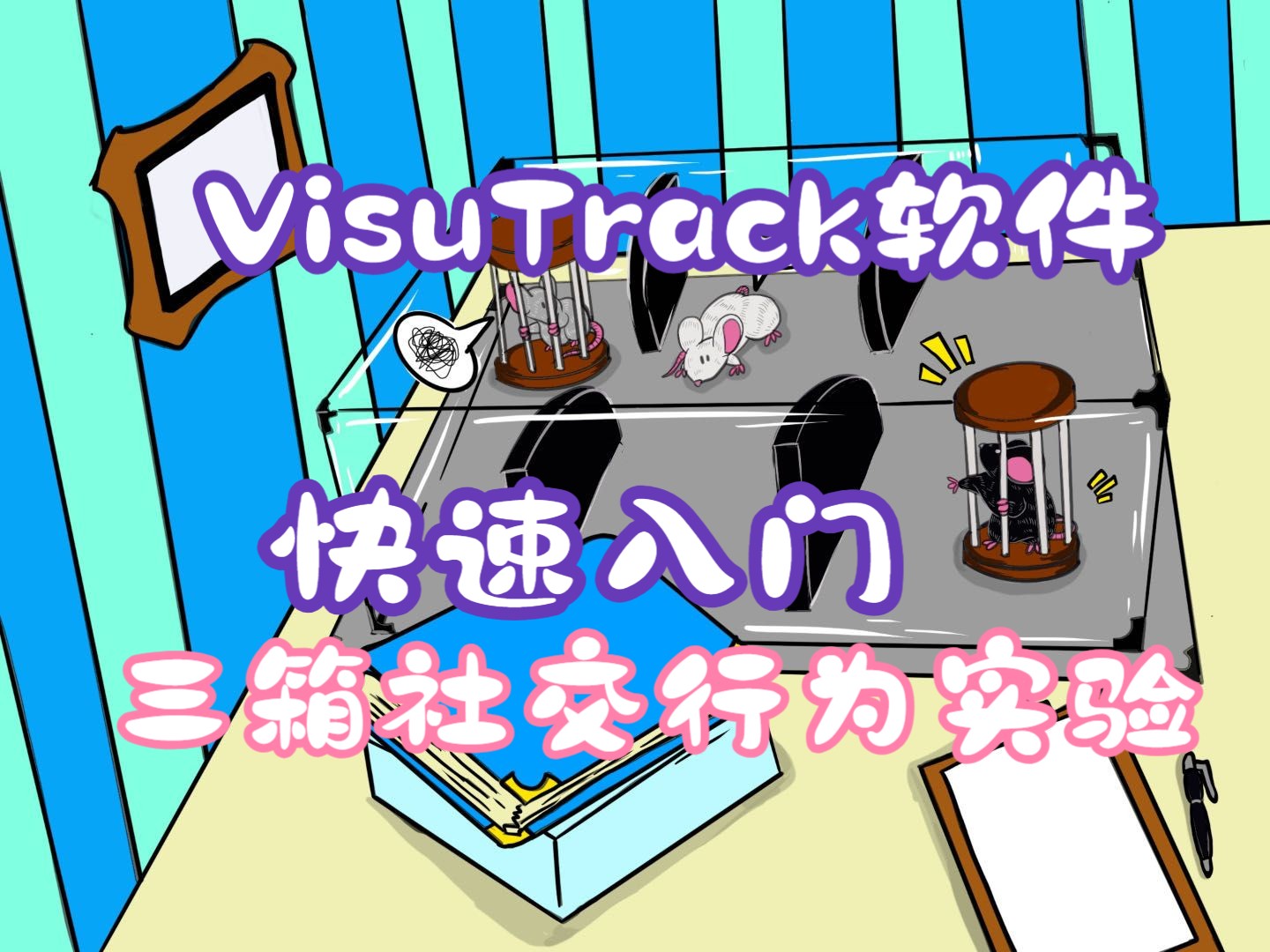VisuTrack软件快速入门:小鼠三箱社交行为实验