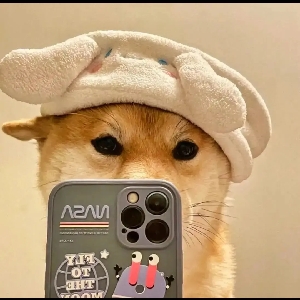 如歌的行极 
