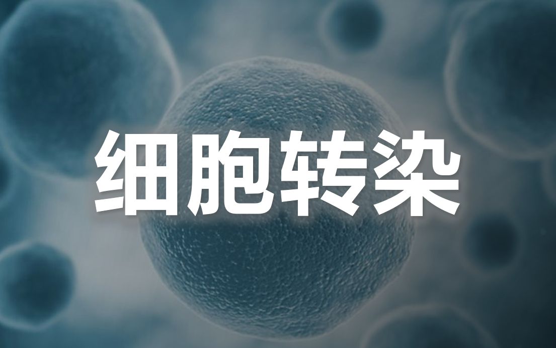 【细胞转染】生物实验必备技能,一起学习实验操作~