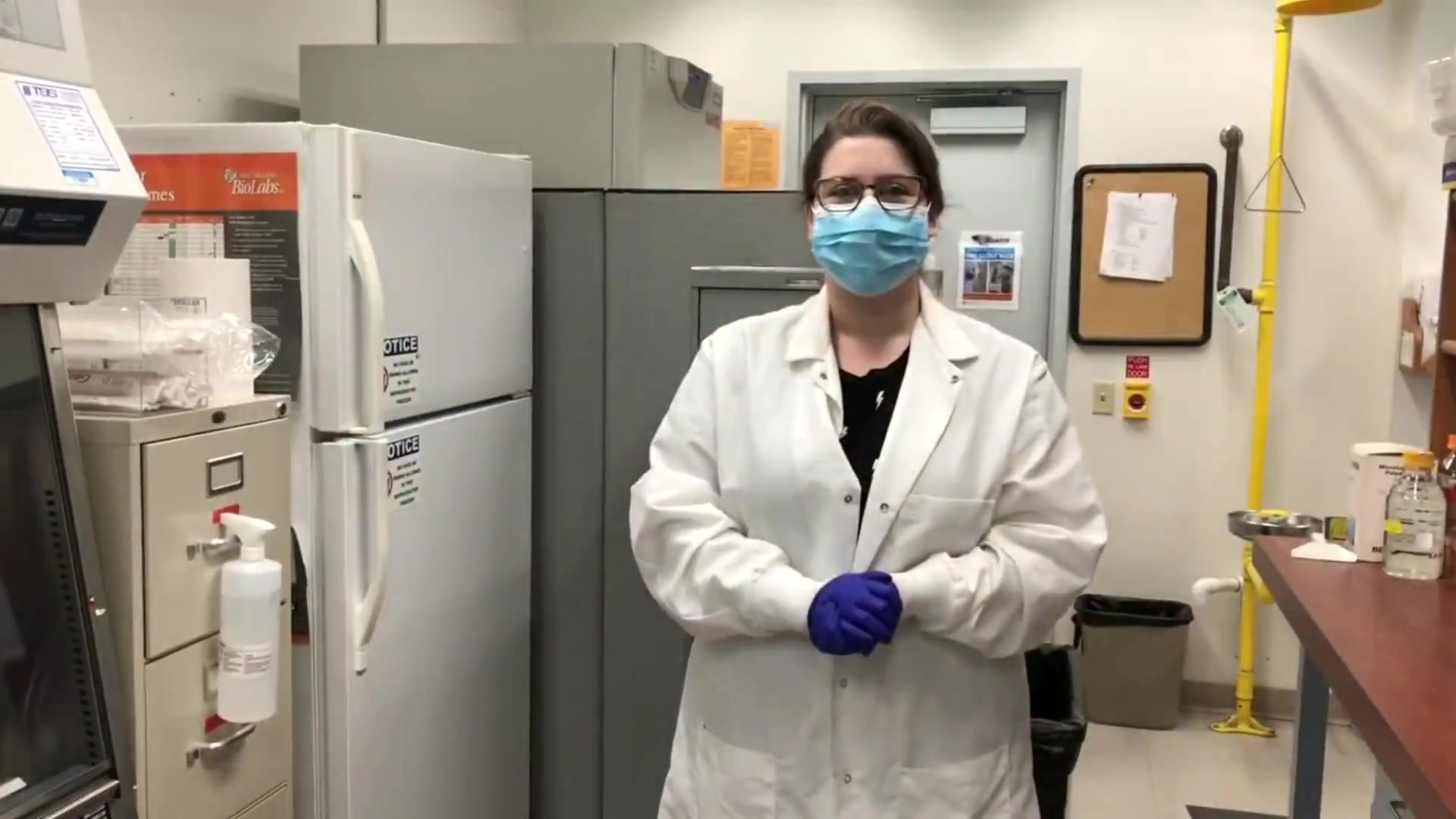 【中文字幕】新手向,大师姐手把手教你养细胞,细胞间准备,Part 1