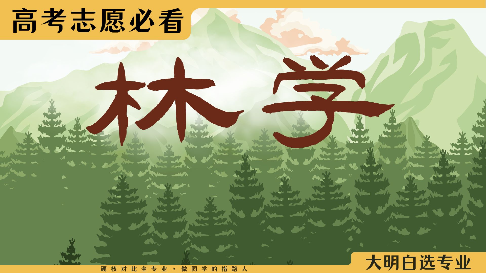 来自森林的专业!林学/林业工程适合你吗?高考志愿填报选专业别错过!