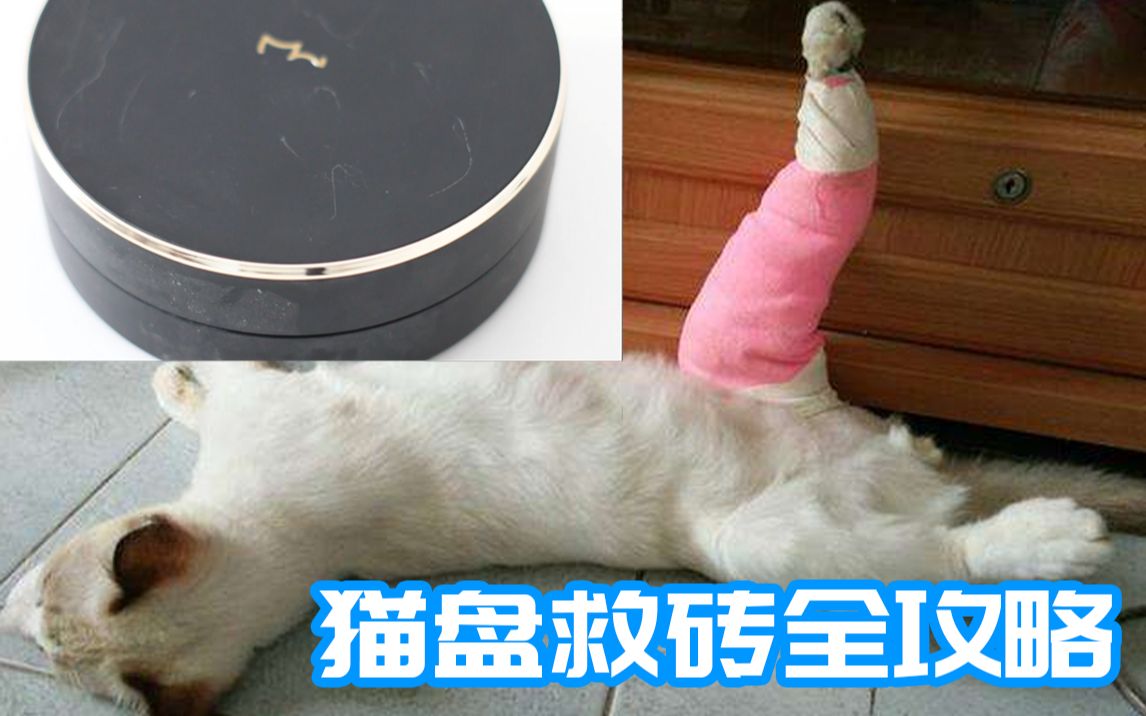 猫盘救砖攻略——从任何状态恢复你的猫盘