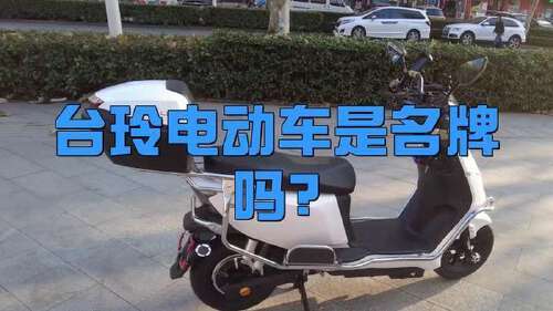 台玲电动车真实身份揭秘:它到底算不算一线大牌?