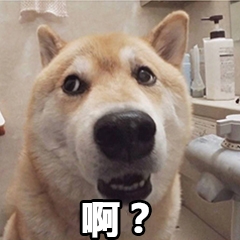 旧景不改人未归 