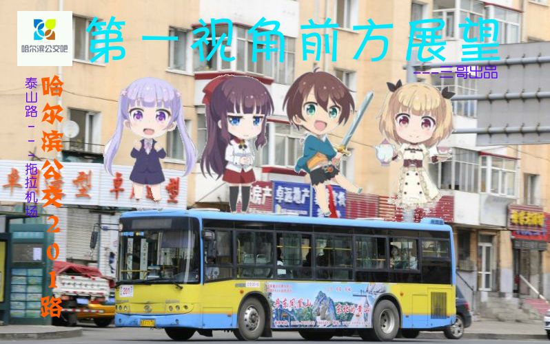 【3哥---POV14】哈尔滨公交201路POV(泰山路---拖拉机场)全程第一...
