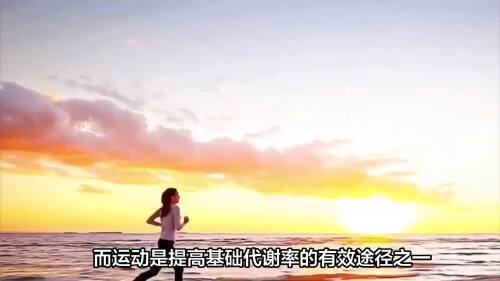 如何通过运动提高基础代谢率?