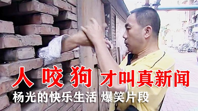 杨光让条子去咬狗,因为狗咬人不算新闻,人咬狗才算新闻,太逗了