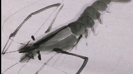 简单几笔画虾法,一起画画吧