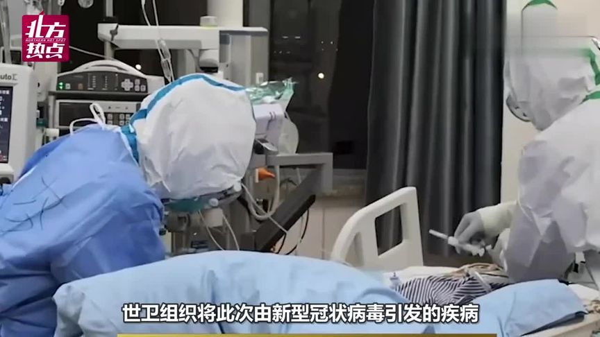 菊头蝠和新冠病毒存关联,穿山甲还是中间宿主吗世卫最新回应