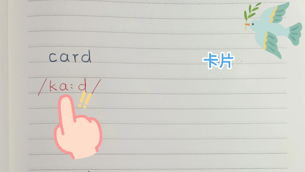 学单词 card,cards 卡片