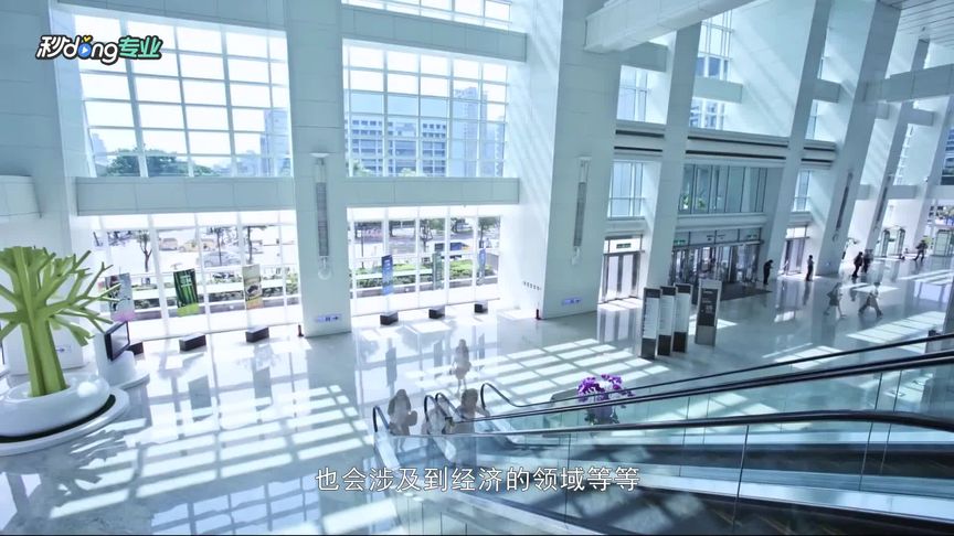 秒懂专业:信息管理与信息系统专业