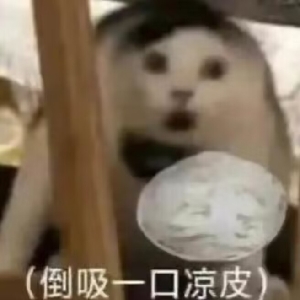 mhy一款我的赛博案底 