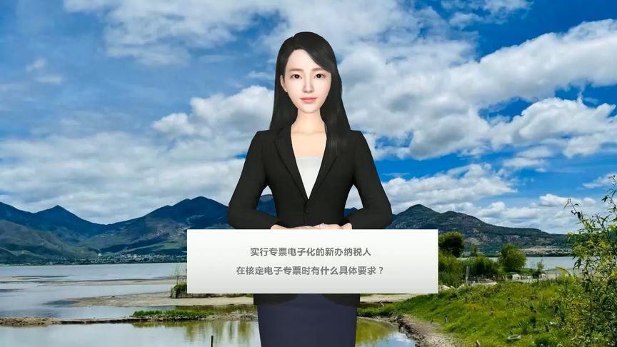 实行专票电子化的新办纳税人在核定电子专票时有什么具体要求?