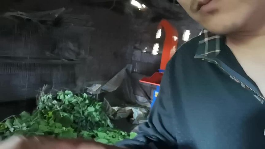 一个残疾人的养殖创业梦