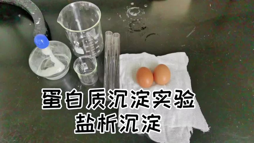 蛋白质的可逆沉淀反应--盐析沉淀#化学实验