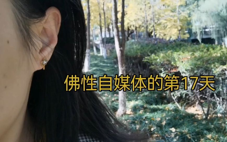 佛性文青自媒体人的第17天,原相机营业日常工作碎片,精神稳定不发疯...