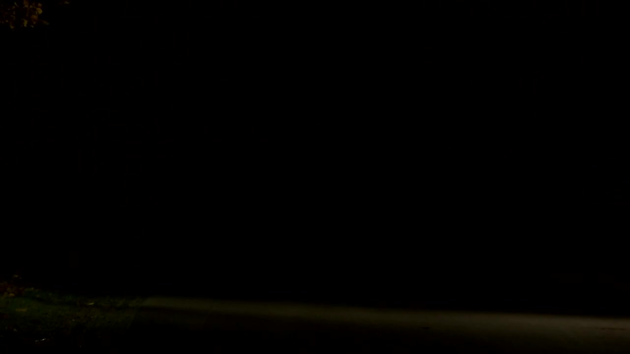 BMW_ConnectedDrive_Night_Vision_with_Dynamic_Light_Spot