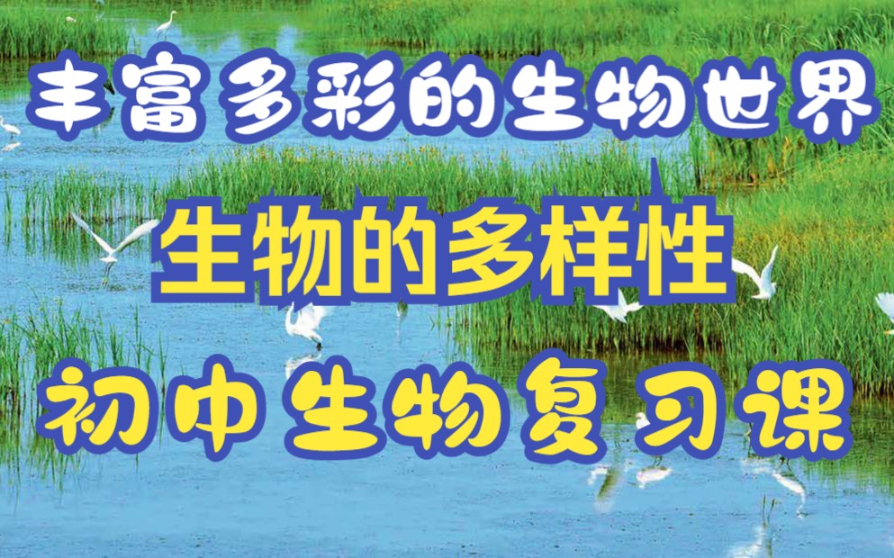 生物多样性|丰富多彩的生物世界|公开课视频素材|初中生物