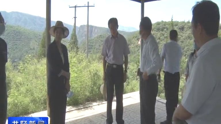 省林业和草原局领导调研我县造林绿化工作