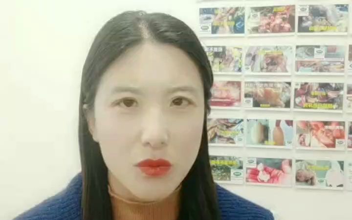 禽医园园讲鸡传染性喉气管炎症状和治疗方法