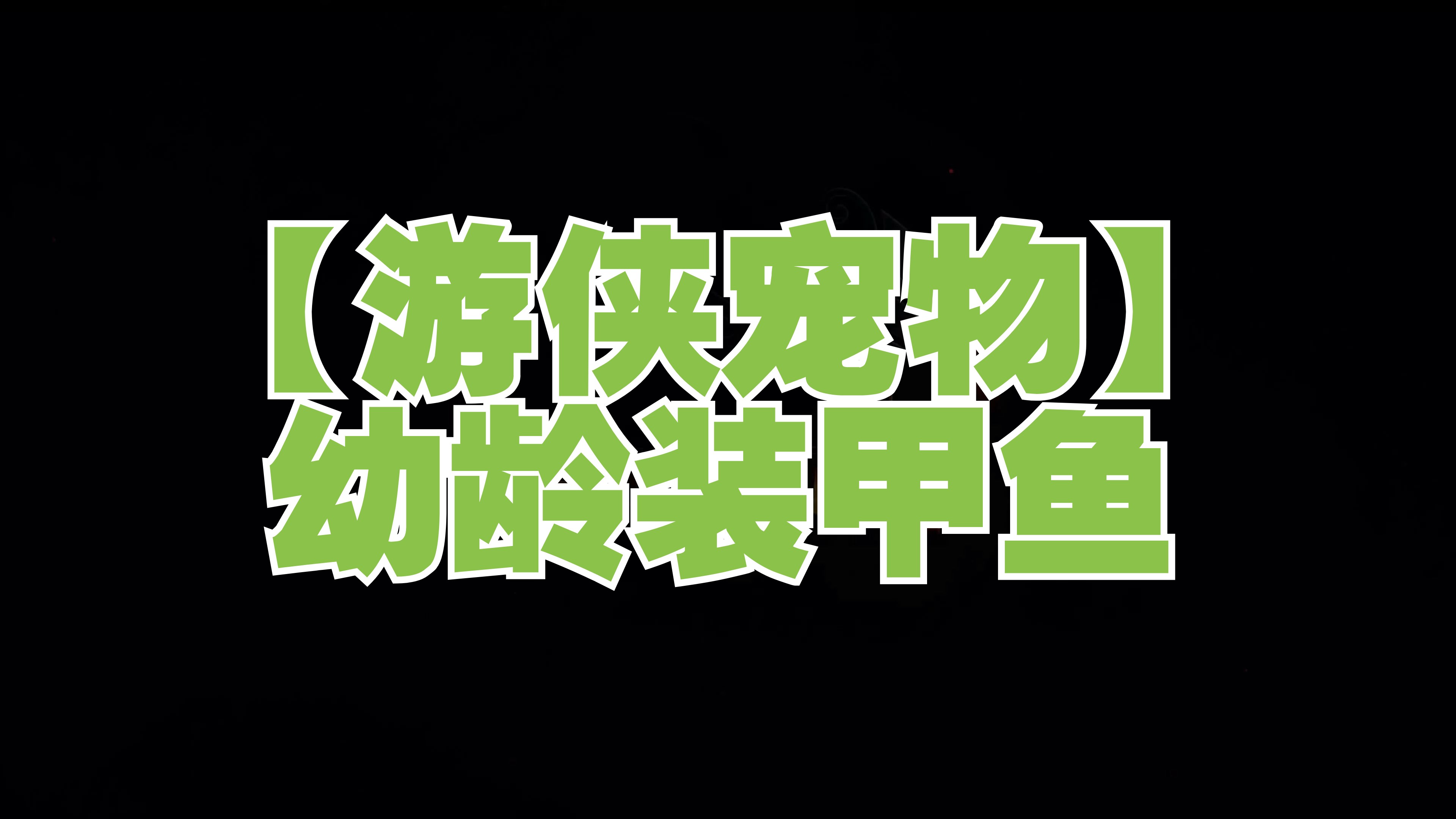 激战2金昆【游侠宠物】幼龄装甲鱼