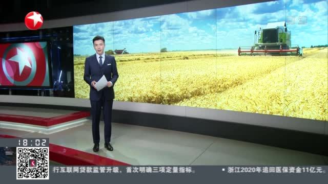 2021年中央一号文件正式发布