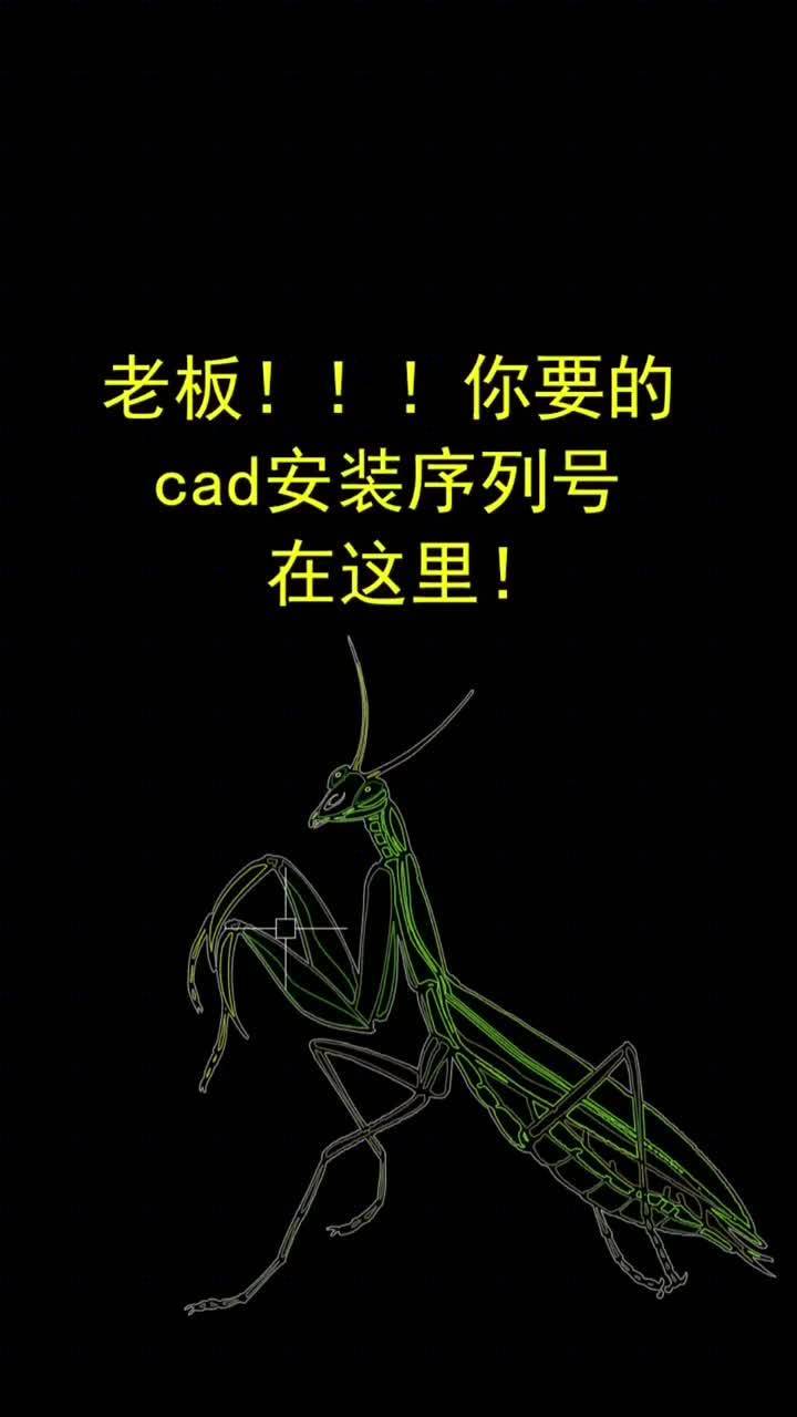 CAD安装必备序列号#cad#cad讲堂#cad教程