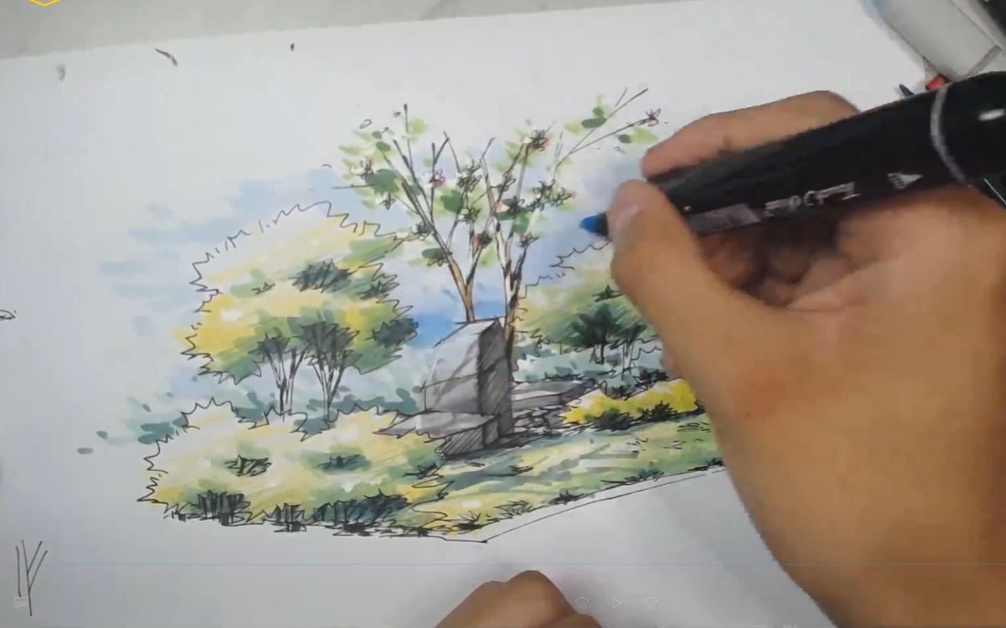 ...手绘干货-植物组合场景线稿+上色全面解析/环境设计考研/风景园林...