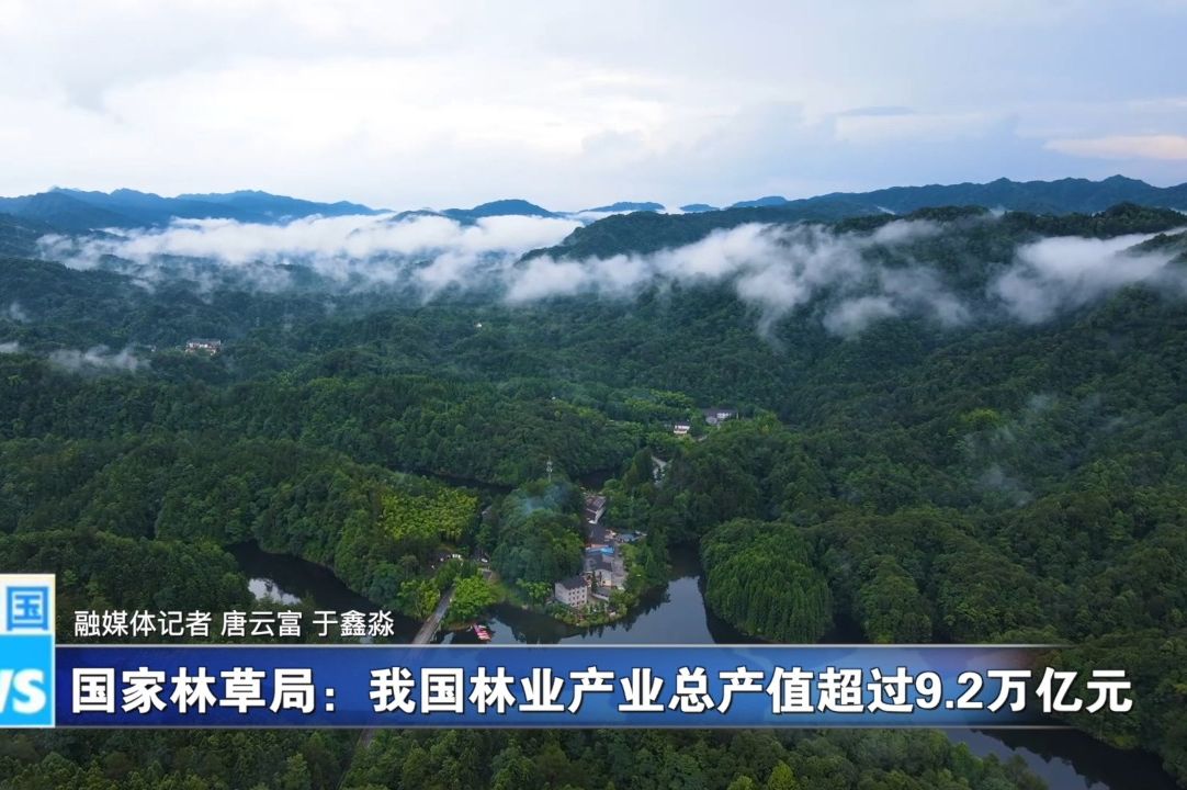 国家林草局:我国林业产业总产值超过9.2万亿元